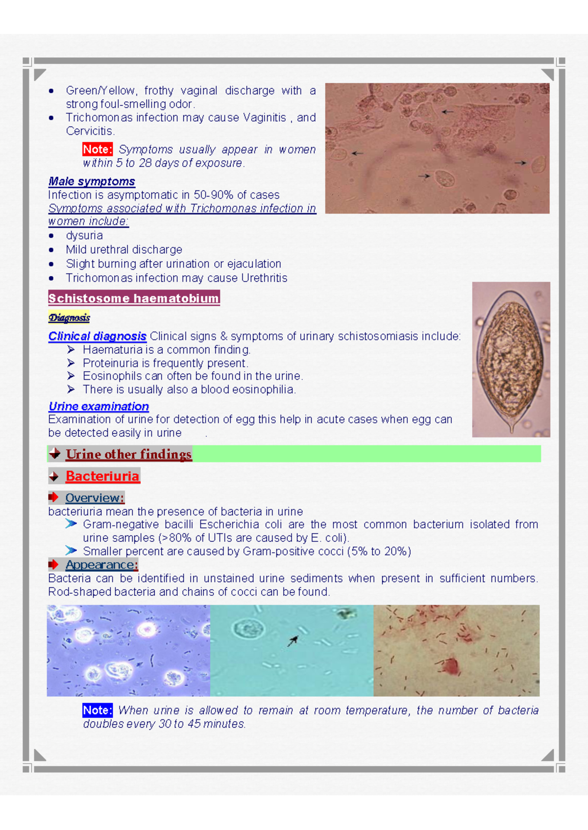 Lab dec - Lab dec - Green/Yellow, frothy vaginal discharge with a ...