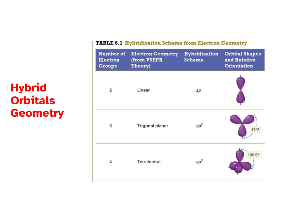 CHEM 130 Final Exam Notes: Hybrid Orbitals & MO Theory - Studocu