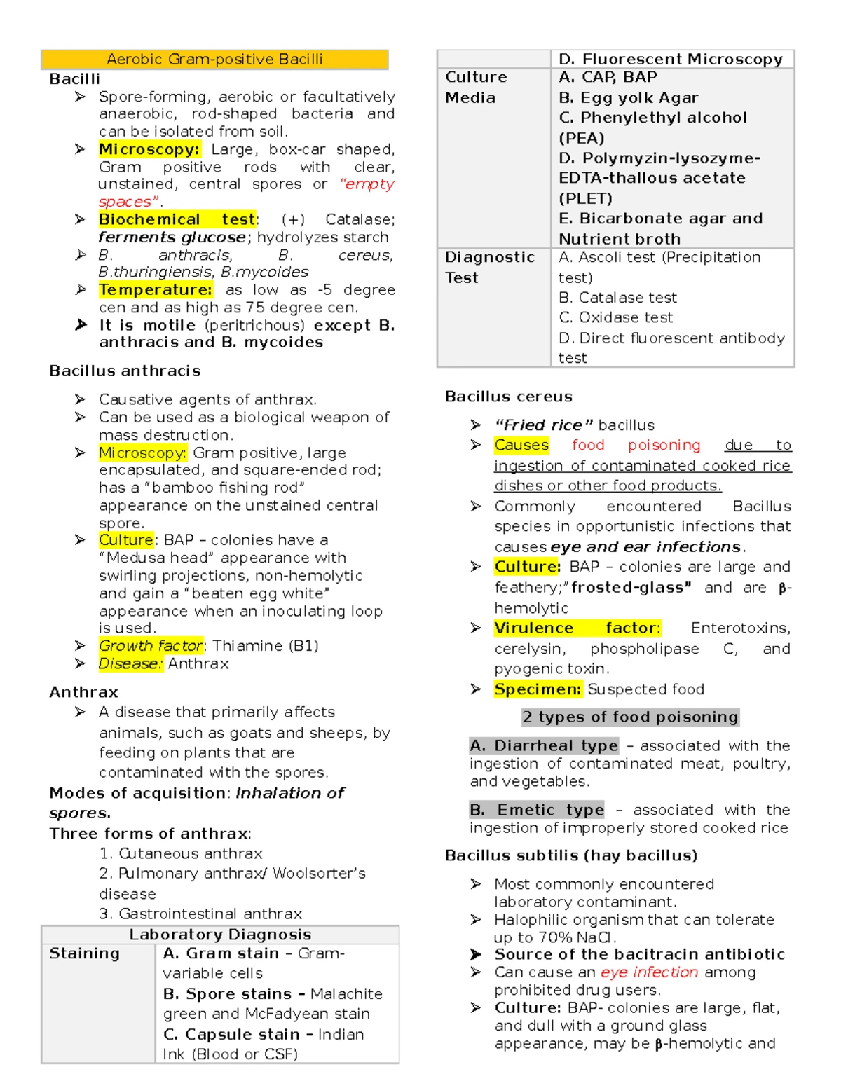 AEROBIC GRAM-POSITIVE BACILLI LESSON (BACT211) - CLINICAL BACTERIOLOGY ...