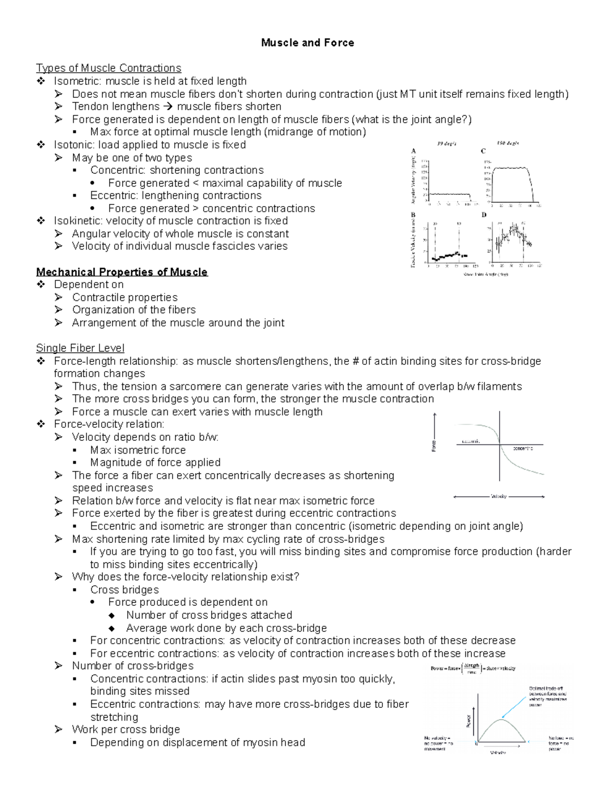 Muscle and Force - Lecture notes 5 - Muscle and Force Types of Muscle ...