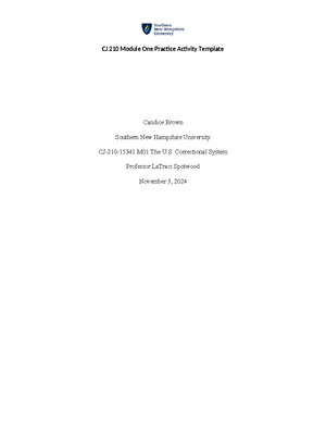 CJ 210 Project - CJ 210 Project Template Grant Proposal Statement of ...