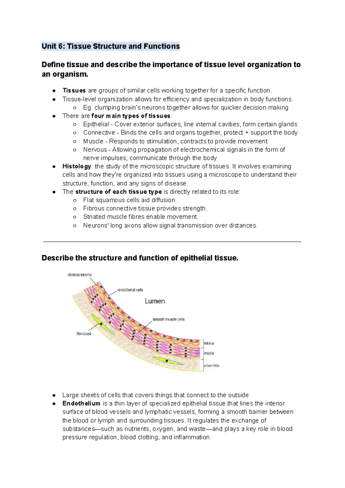 BIOL 1593 - Unit 6-11 Lecture Notes on Tissue Structure and Function ...