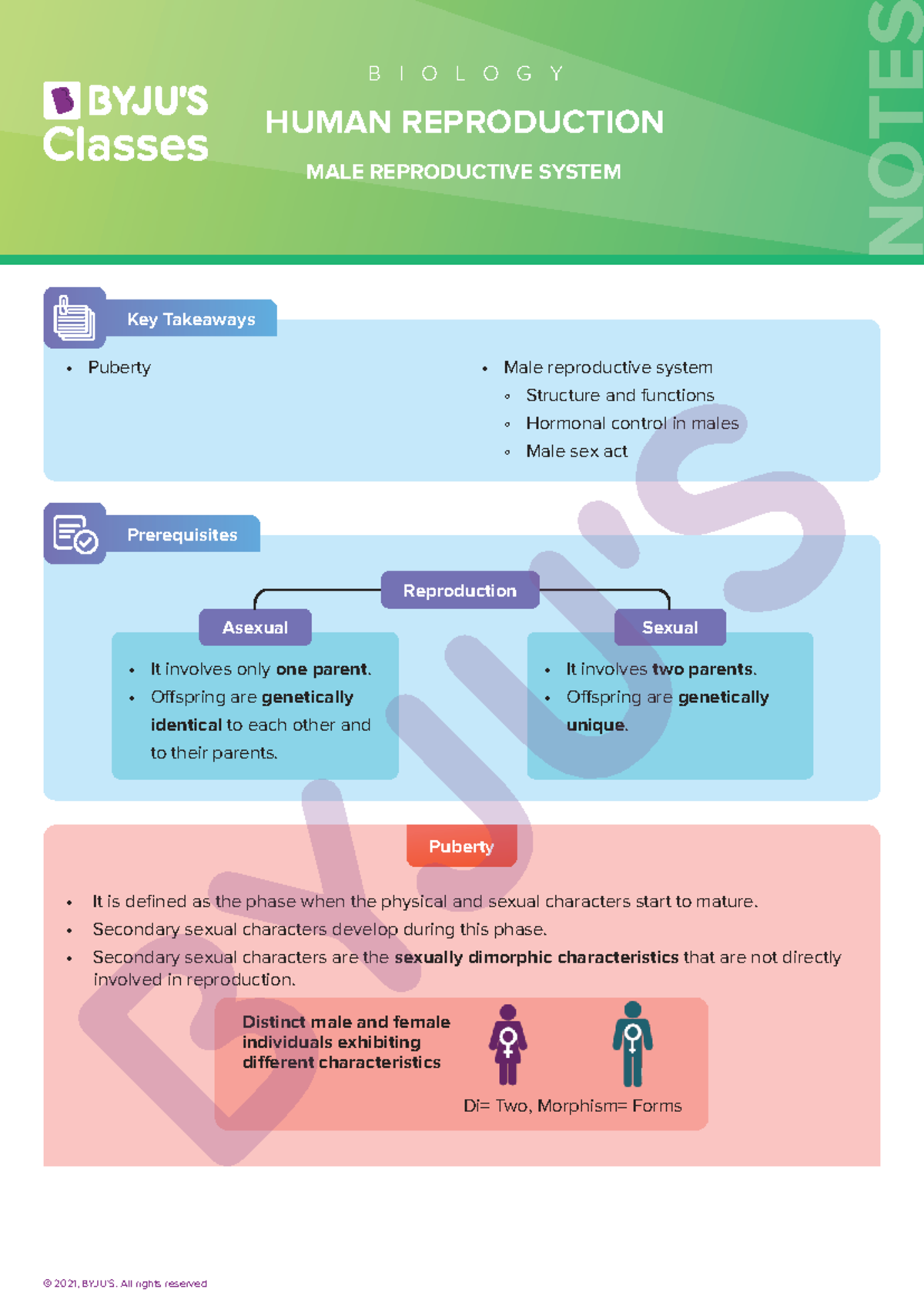 CBSE Class 12 Human Reproduction Study Notes: Male & Female Systems ...