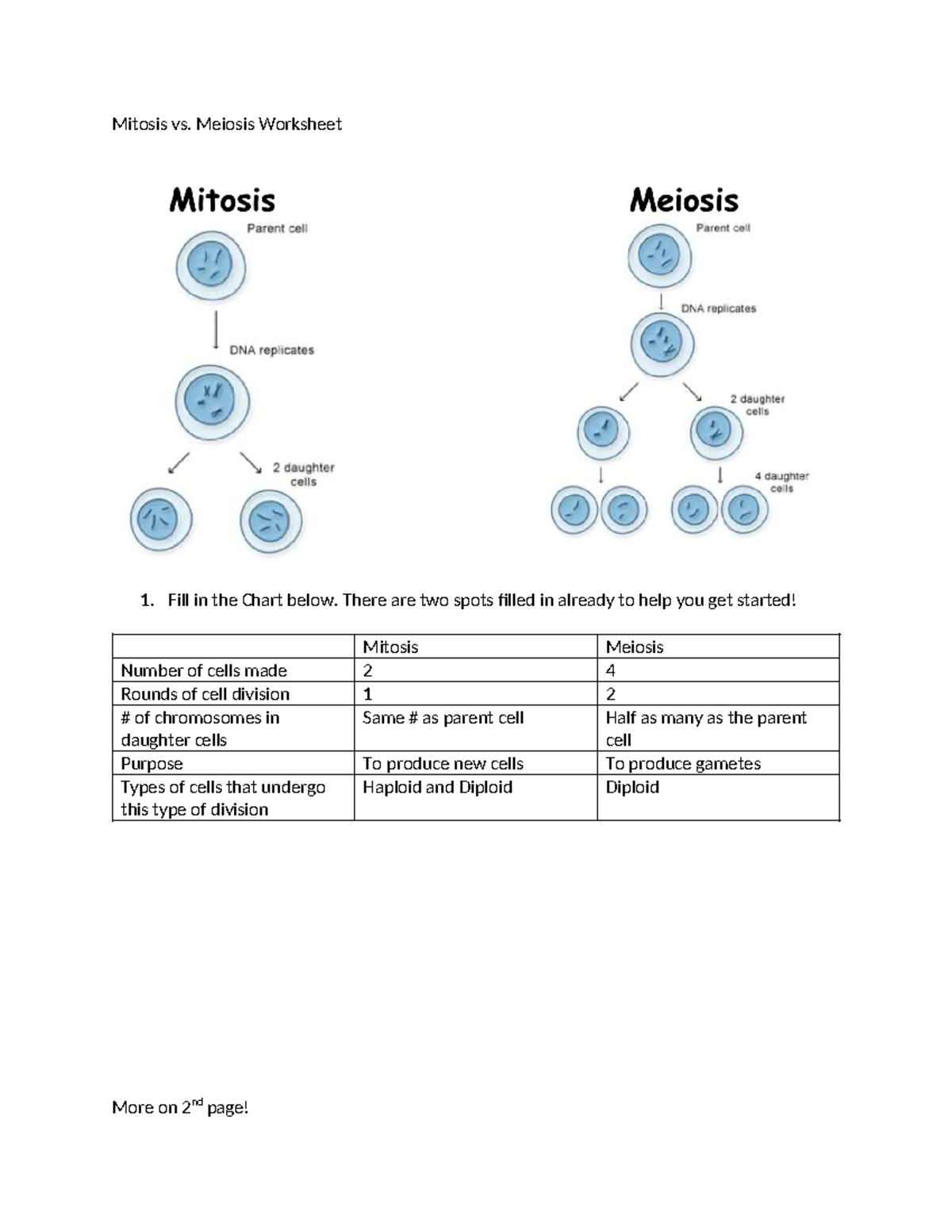 Mitosis vs Meiosis Worksheet - BIO 101 - Mitosis vs. Meiosis Worksheet ...