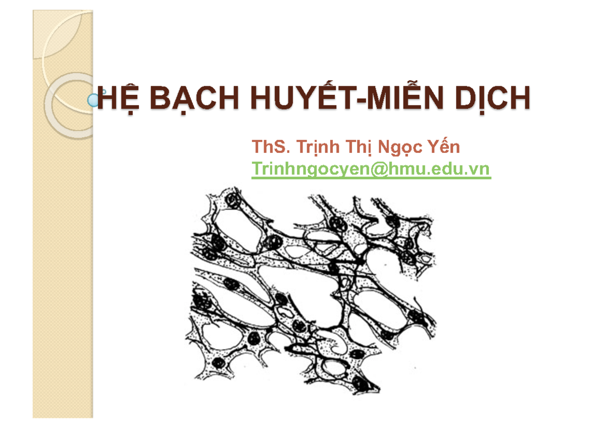 Tiêu điểm về Hệ Bạch Huyết và Miễn Dịch trong Giải Phẫu học - Studocu