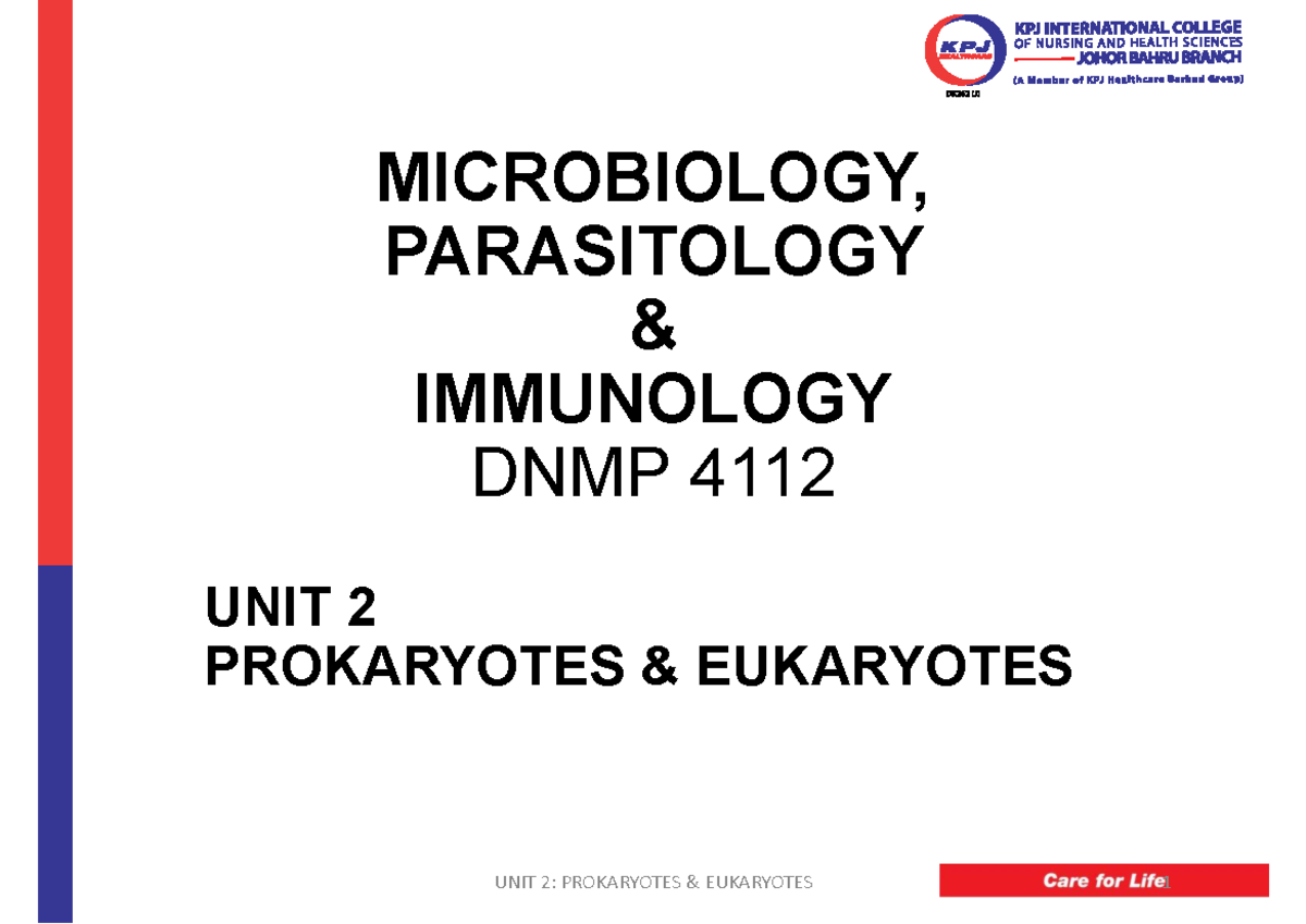 DNMP 4112: Unit 2 - Prokaryotes & Eukaryotes - Studocu