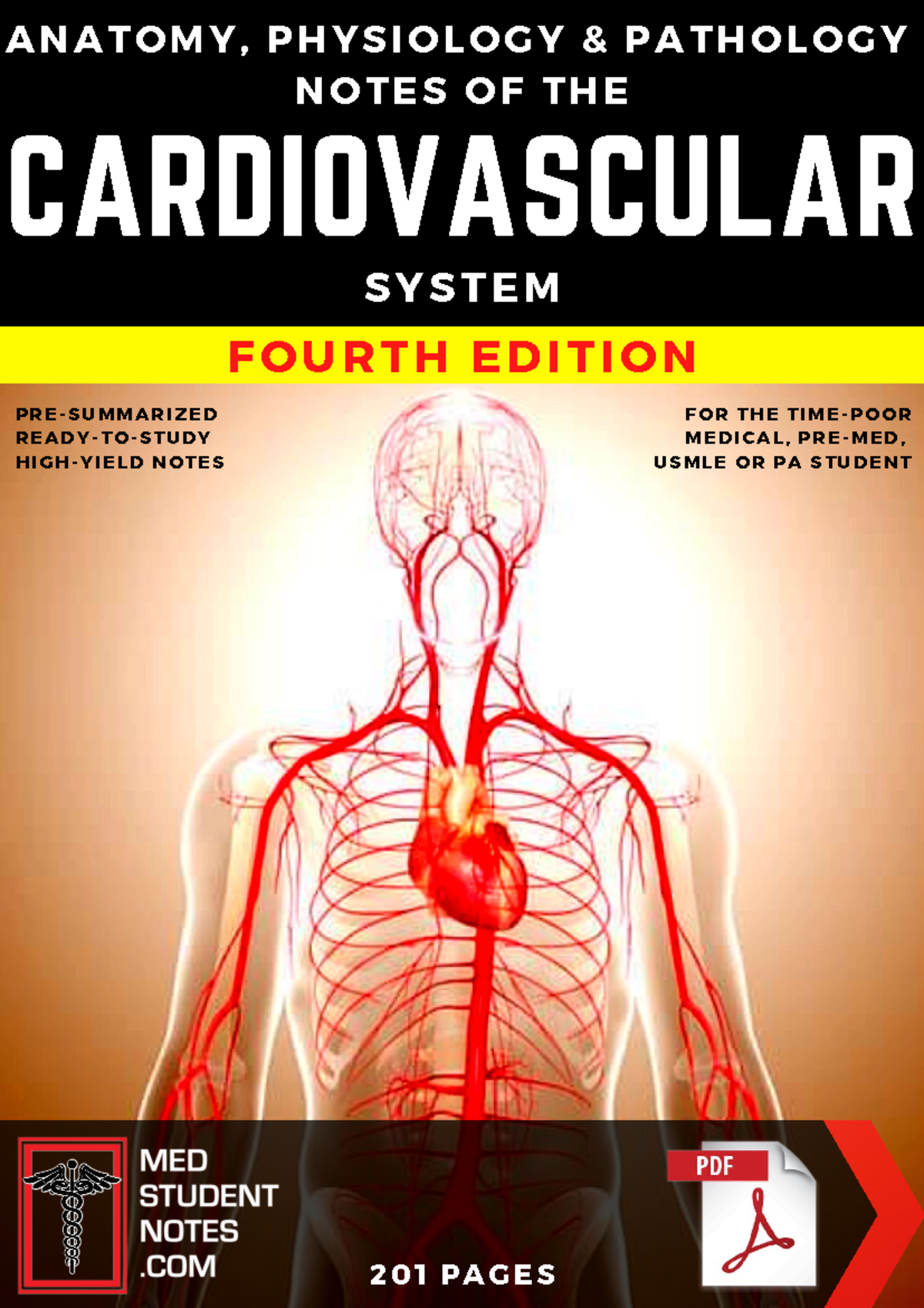 Cardiovascular System Study Notes - 4th Edition - Studocu