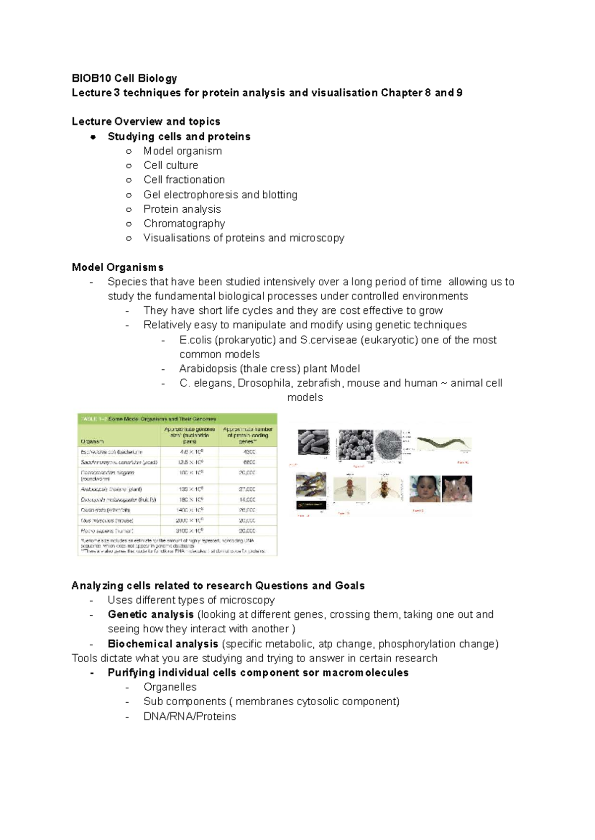 BIOB10 Cell Biology Lecture 3: Techniques for Protein Analysis and ...