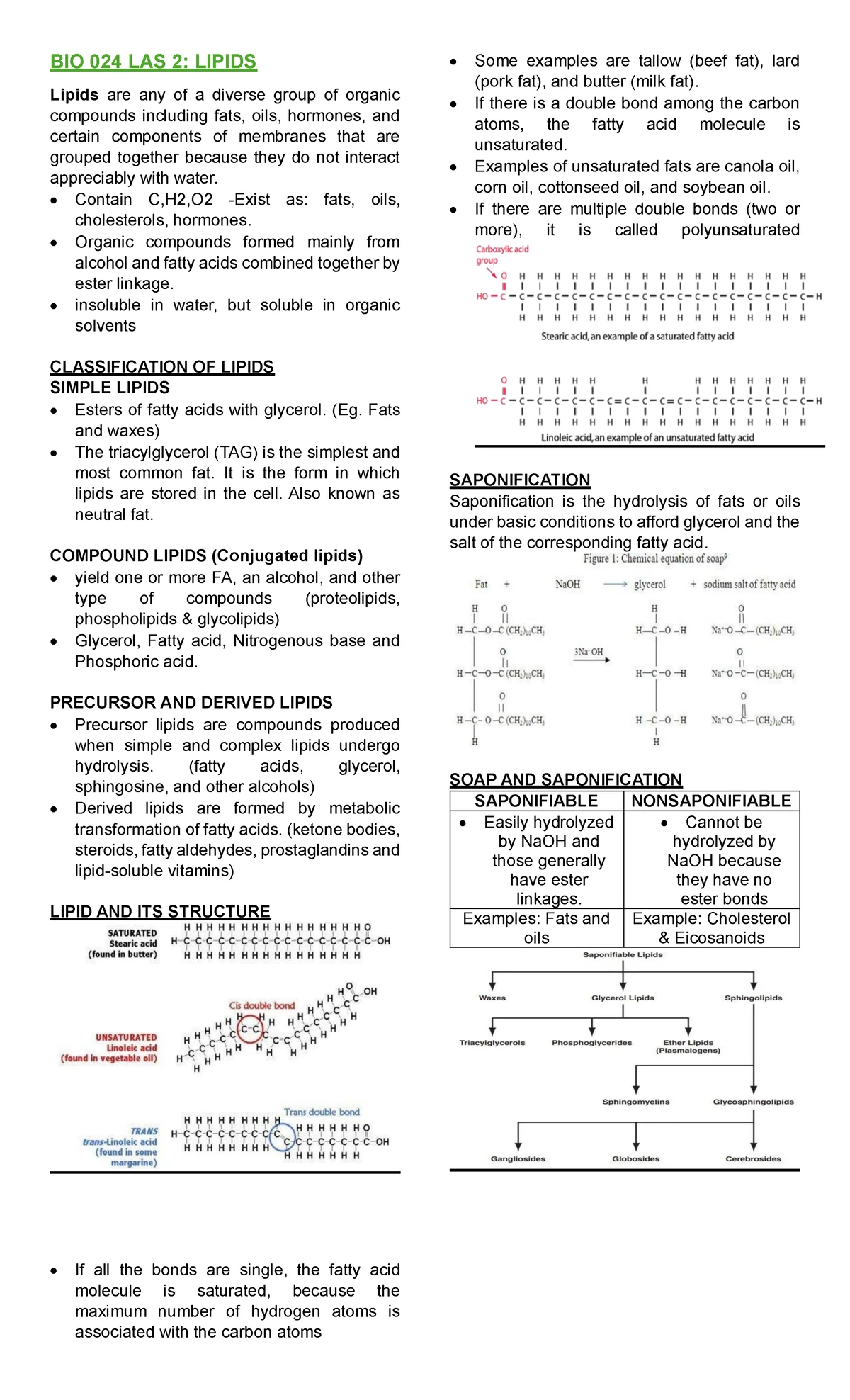 LAS - Lesson Notes on Carbohydrates and Polysaccharides - Studocu