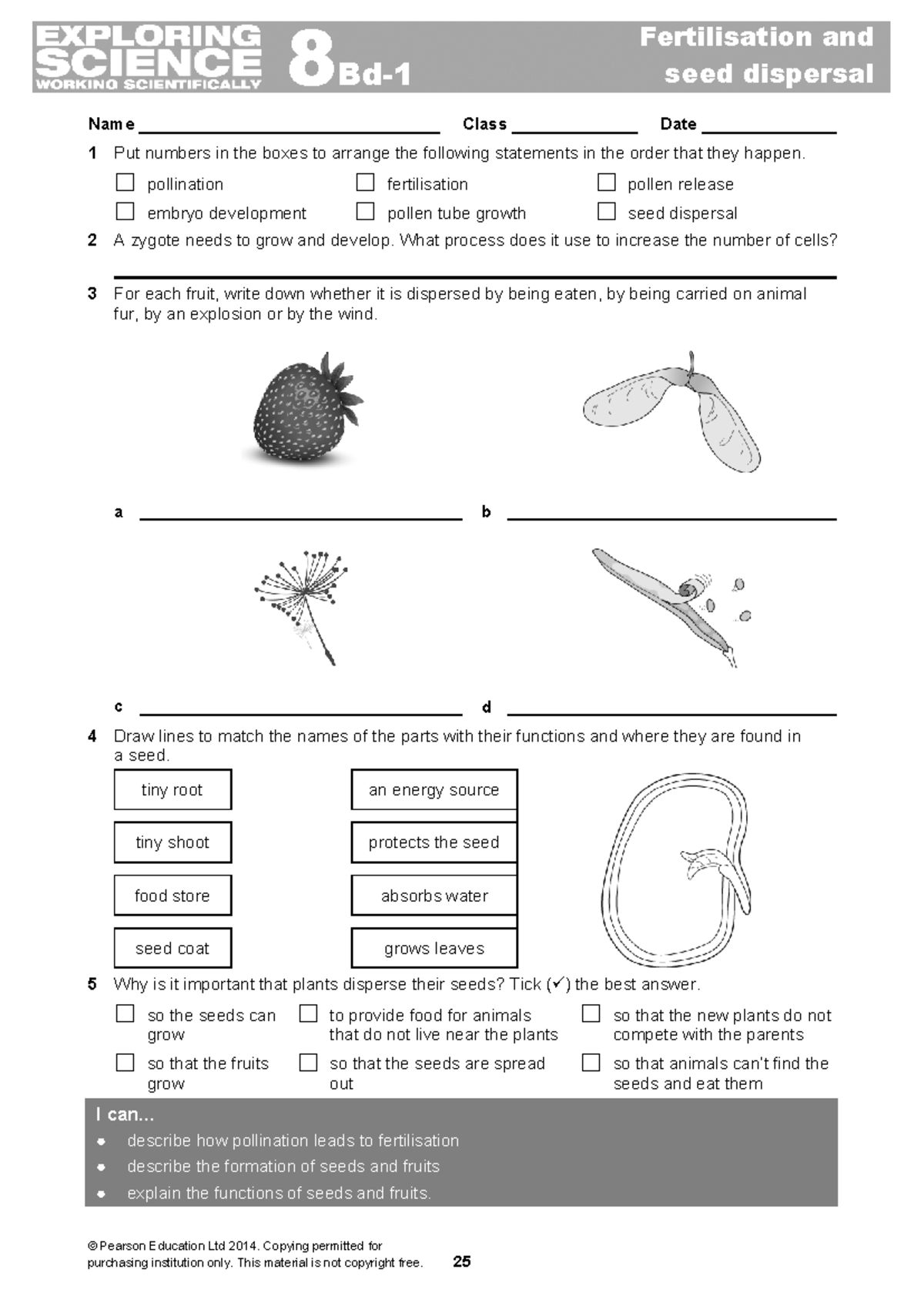 Plant Population Worksheet: Fertilisation & Seed Dispersal - Studocu