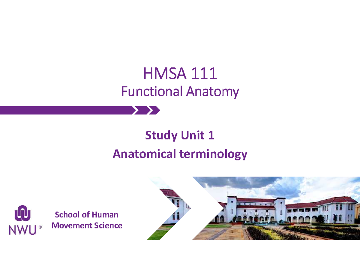 HMSA 111 Functional Anatomy Study Unit 1 - Studocu