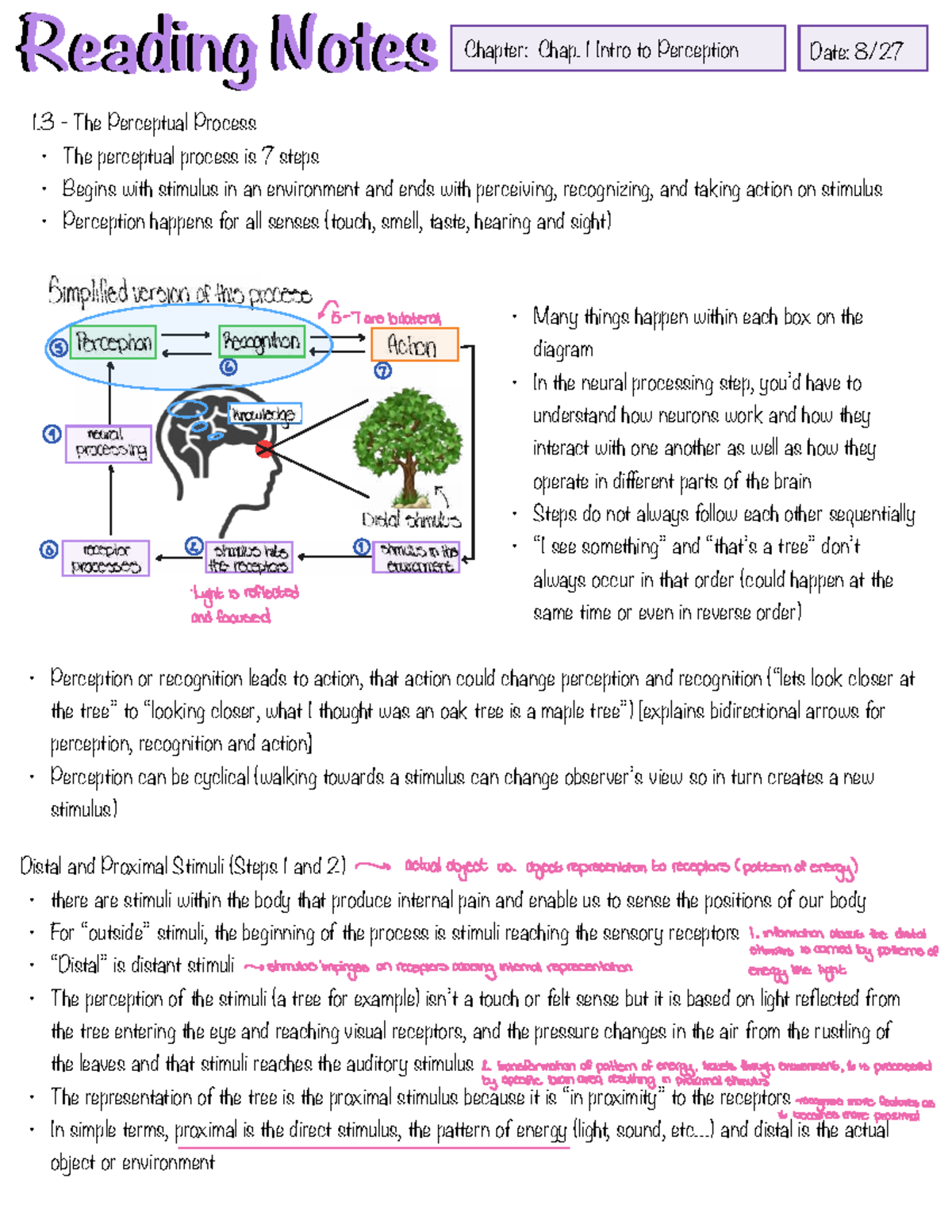 Perception and Sensory Processing: Chap. 1 Distal & Proximal Stimuli ...
