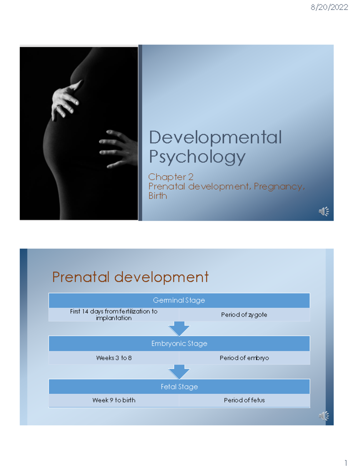 Developmental Psychology CH2: Stages of Prenatal Development - Studocu