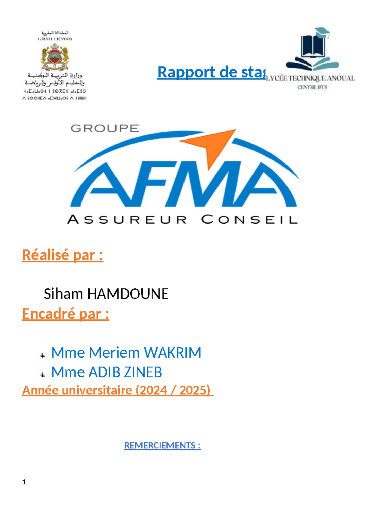 Rapport de Stage chez AFMA Assurance - BTS Banque et Assurance 2024 ...