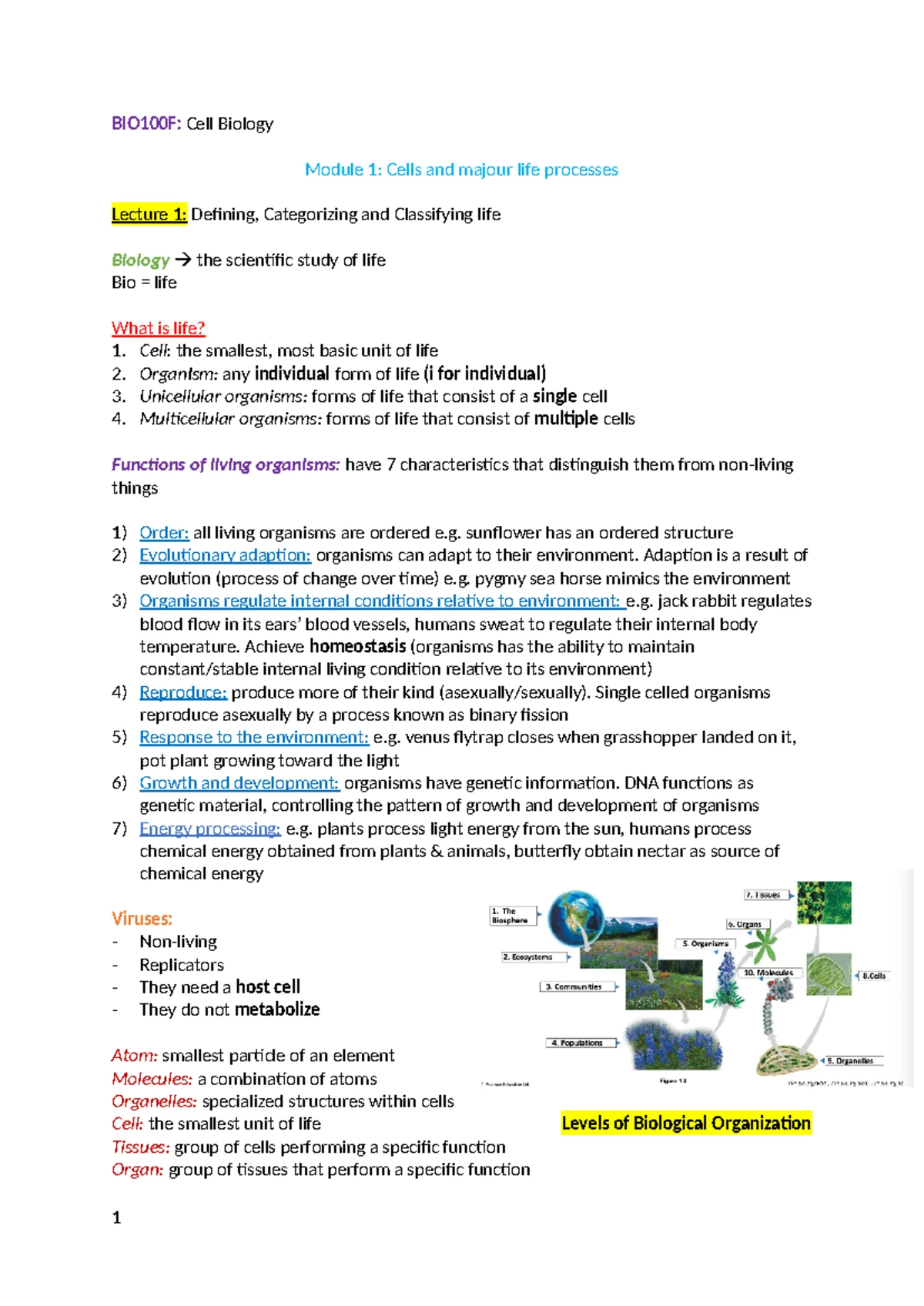 Lecture Notes: Embryonic Dev., Stem Cells & Cloning Insights - Studocu
