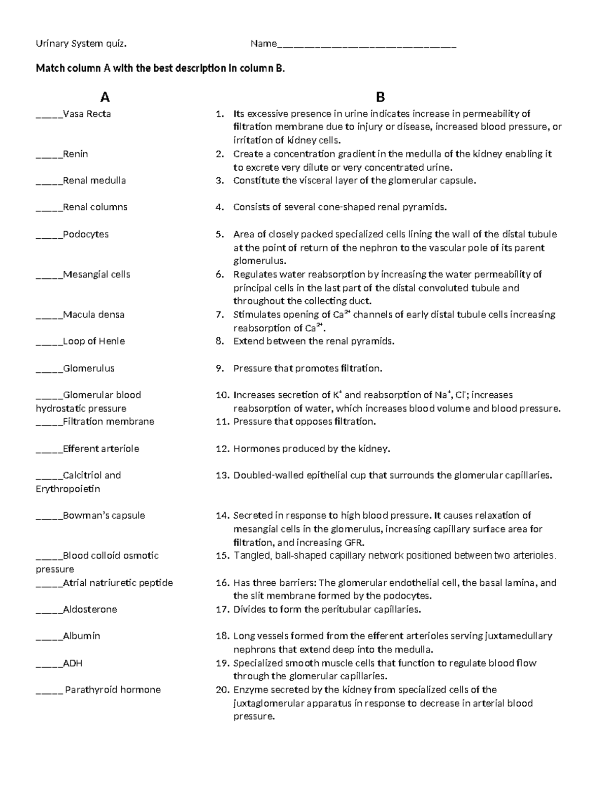 12-Urinary System Quiz: Match Descriptions to Key Terms - Studocu