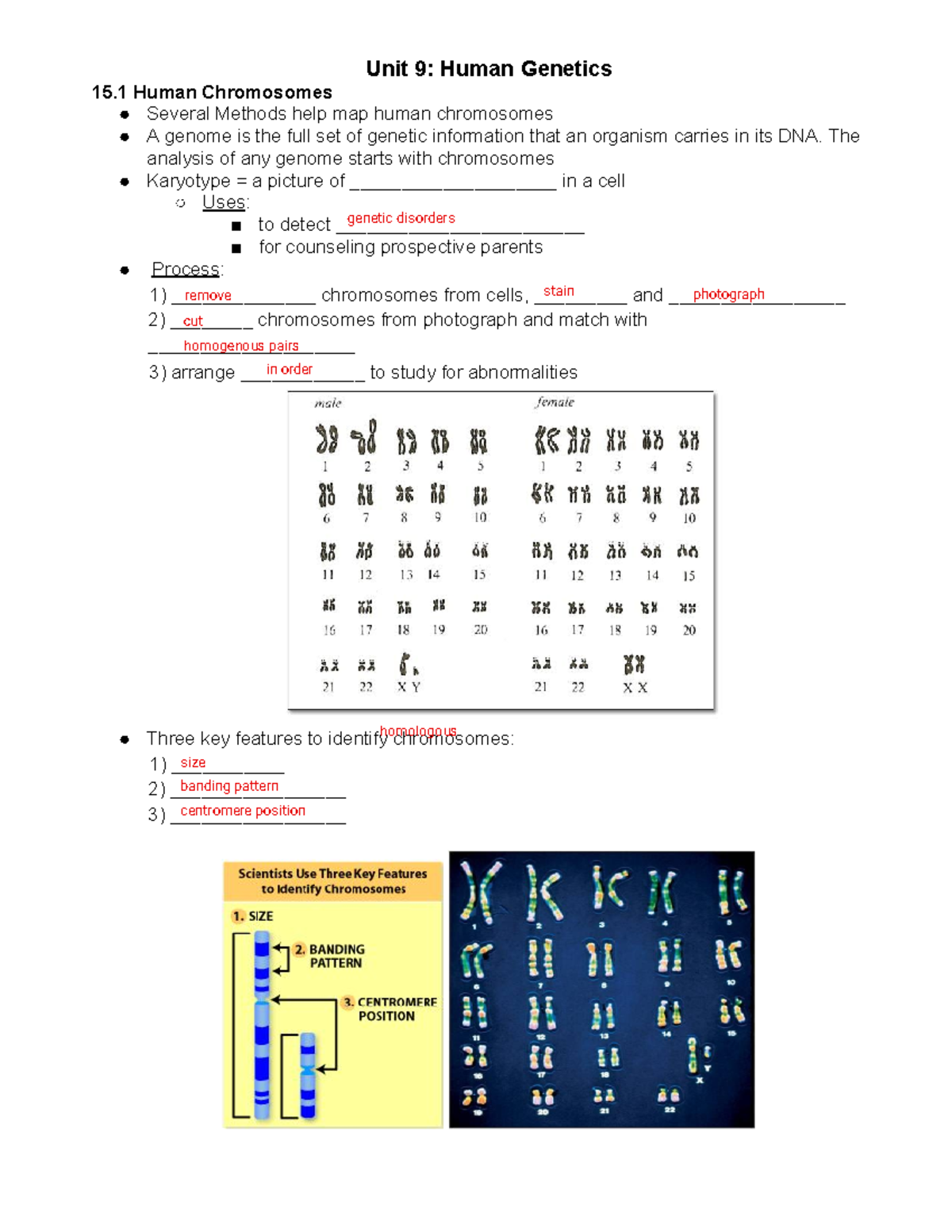 Human Genetics: Chromosomes, Traits, and Disorders (BIO101) - Unit 9 ...
