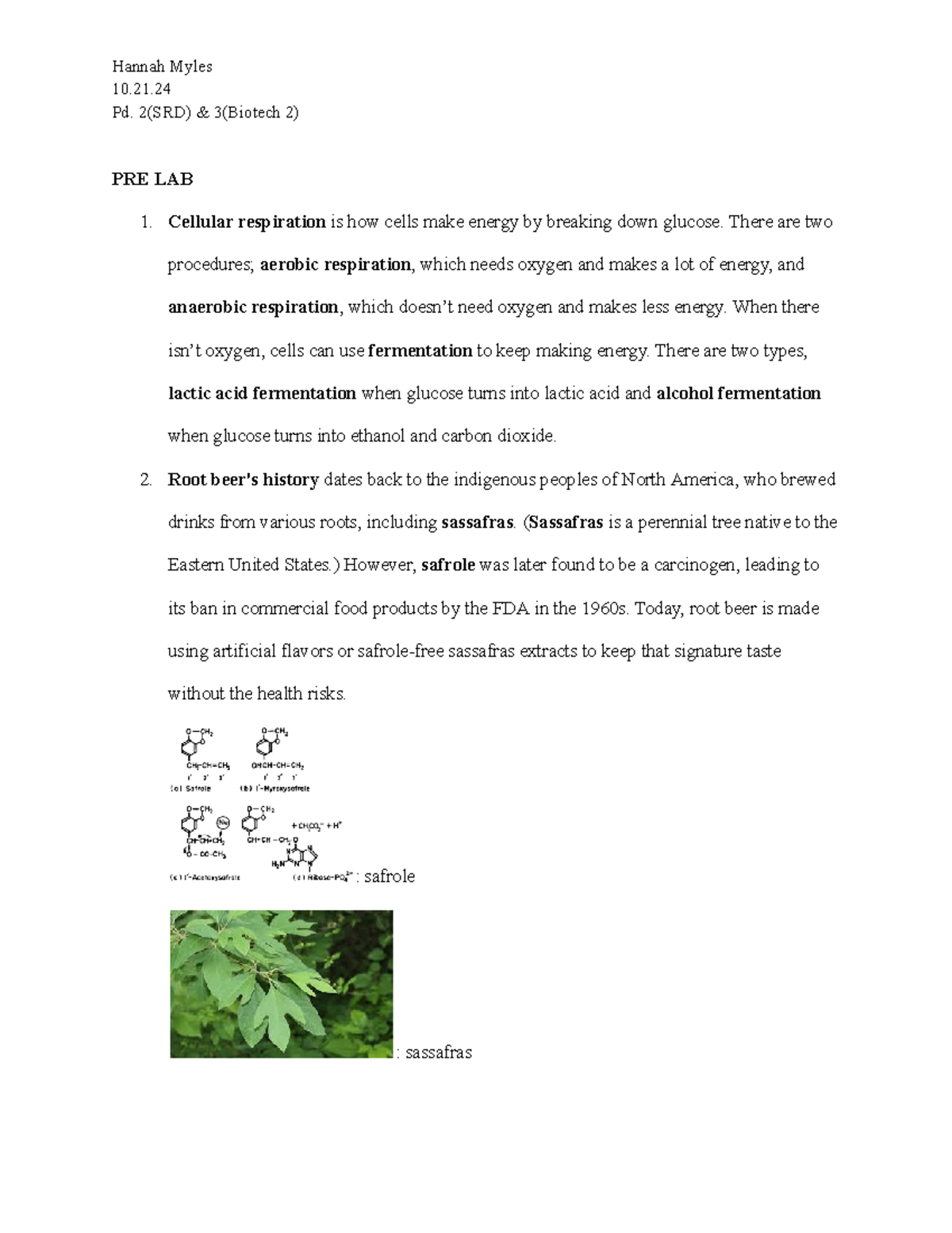Root Beer Pre Lab - Cellular Respiration and Fermentation Procedures ...