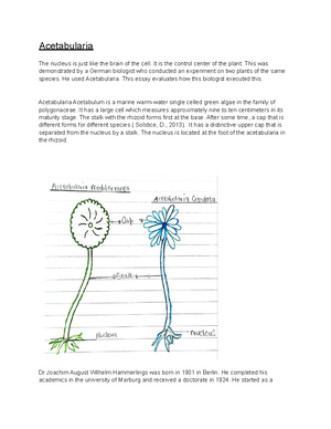 Acetabularia Experiment Analysis: Insights from Dr. Hammerling's Work ...