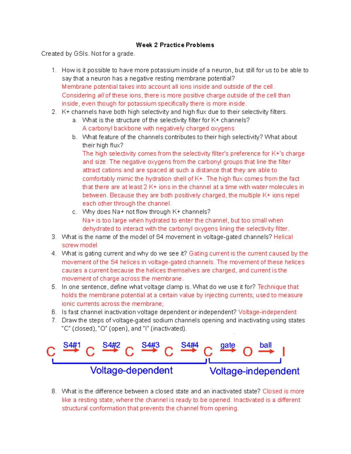 Week 2 Worksheet Answers: Neuron Membrane Potential & Ion Channels ...