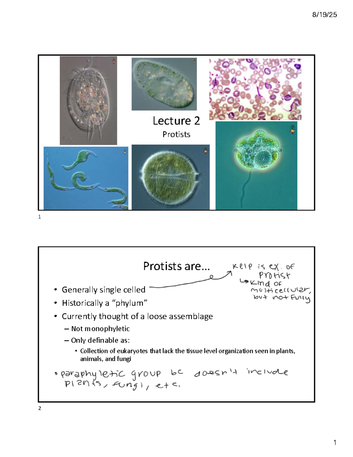 Lecture Notes on Protists - BIOL 101 - Fall 2025 - Studocu