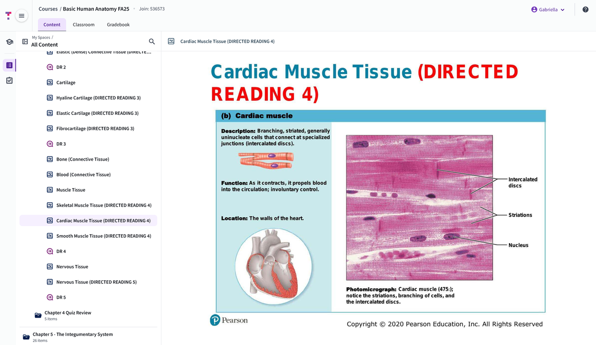 Directed Reading on Cardiac Muscle Tissue for Basic Human Anatomy FA25 ...