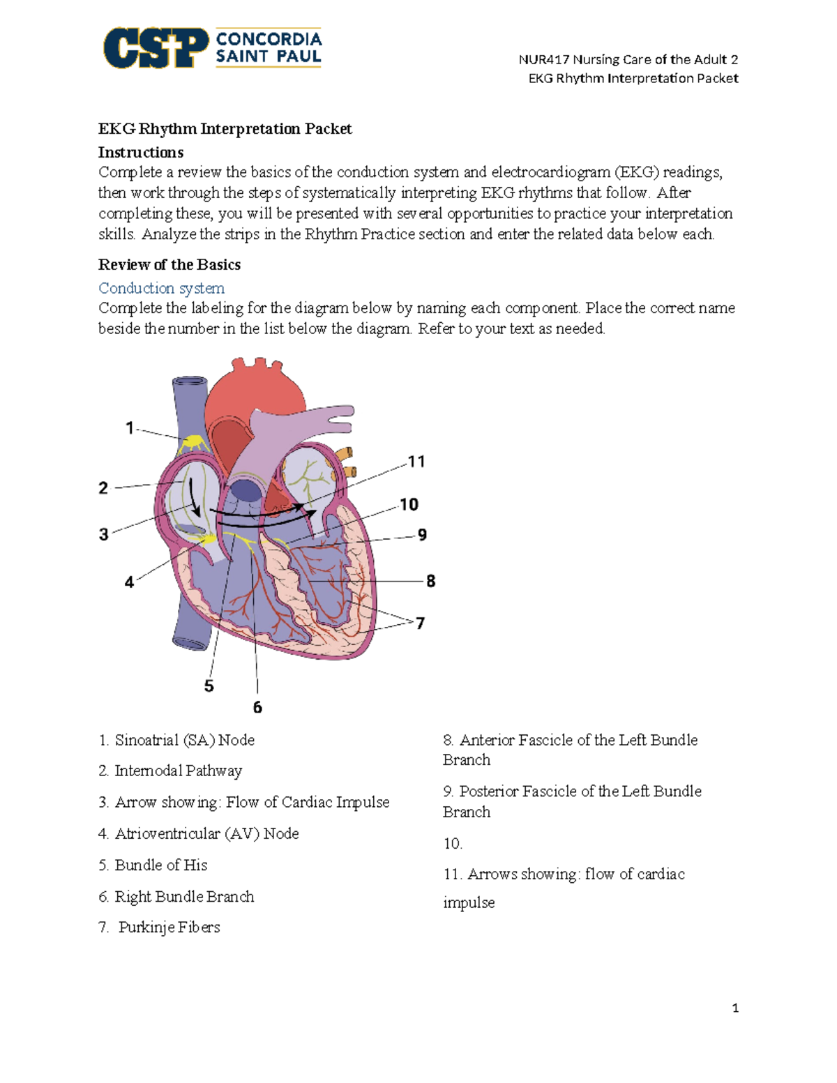 Adult 11 EKG Rhythms - Comprehensive Interpretation Packet - Studocu