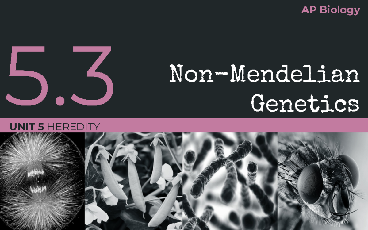 AP Biology 5.3 Non-Mendelian Genetics: Dominance, Alleles, and ...