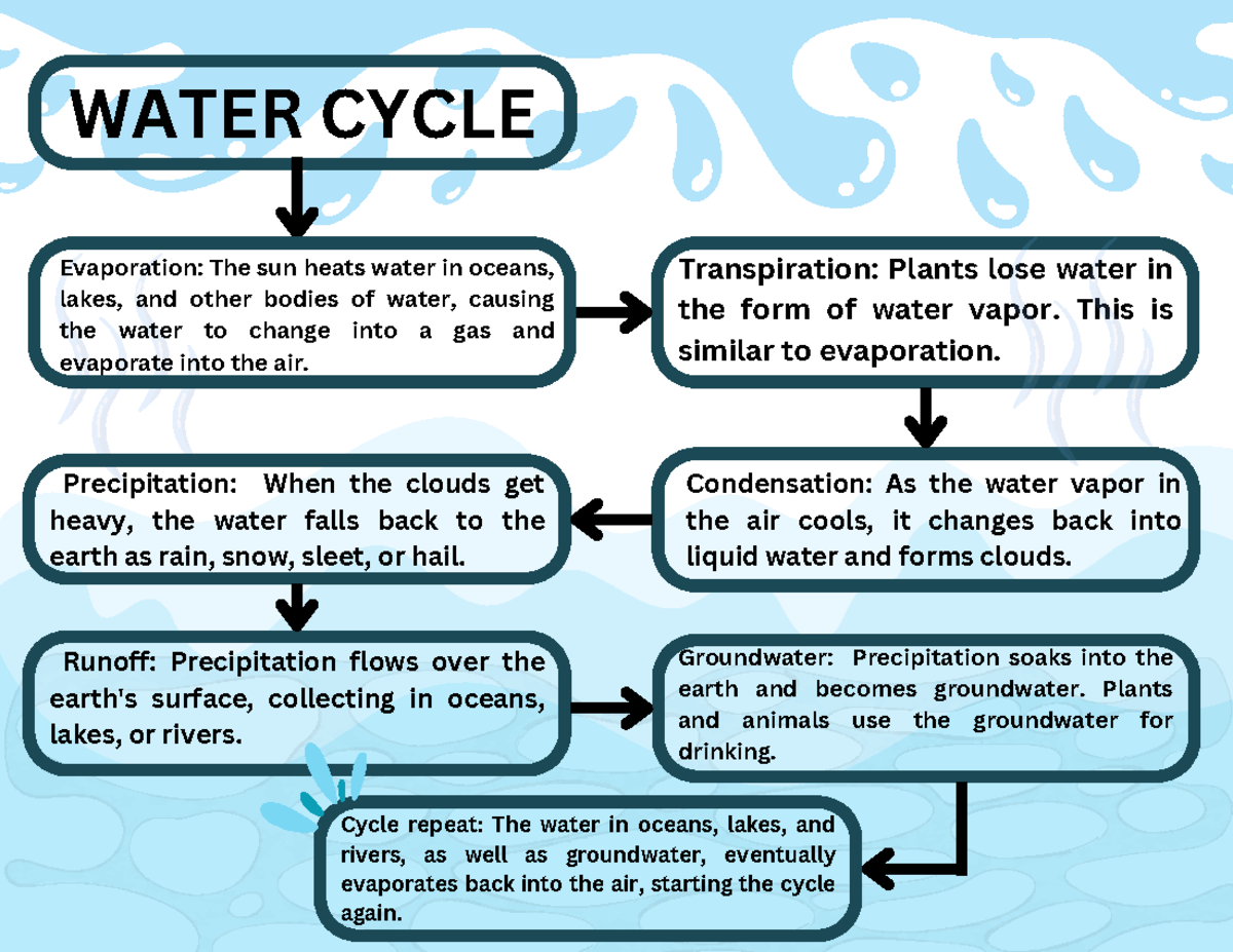 WATER CYCLE Overview: Key Processes and Stages Explained - Studocu