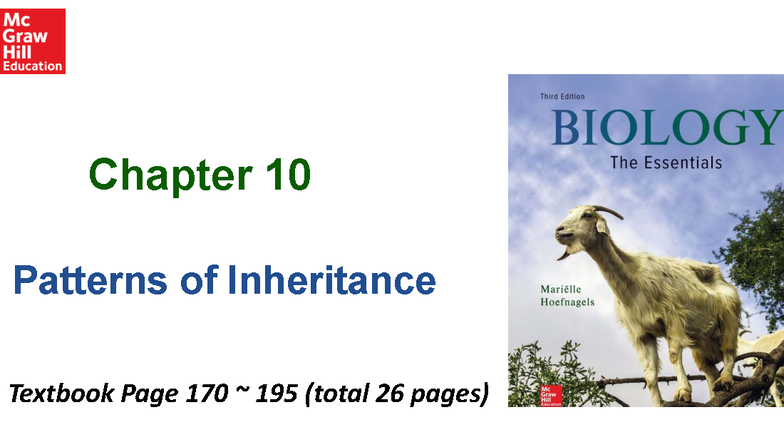 Chapter 10: Patterns of Inheritance - Genetics Overview - Studocu