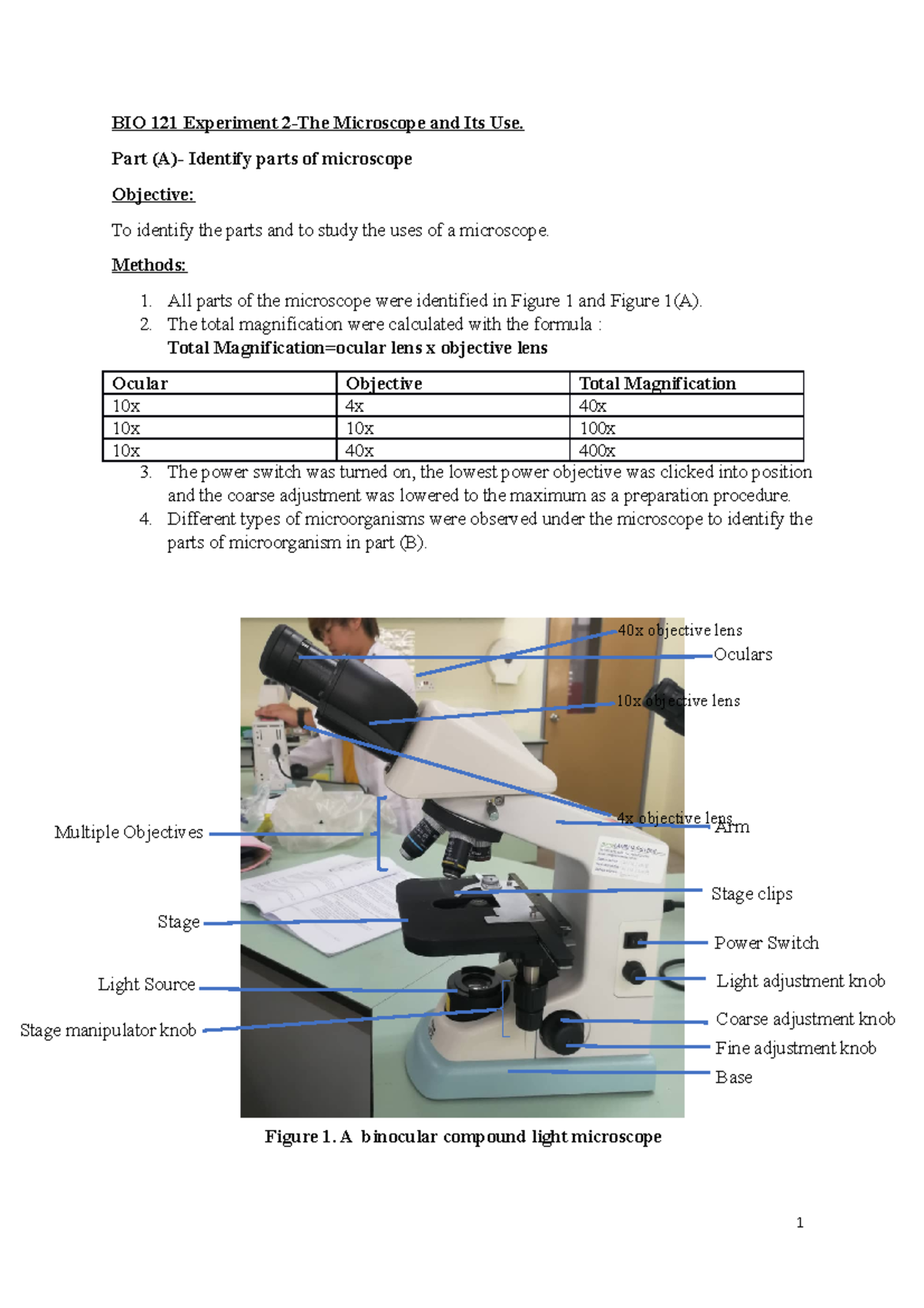 BIO 121 Lab Report 2: The Microscope and Microorganism Observations ...