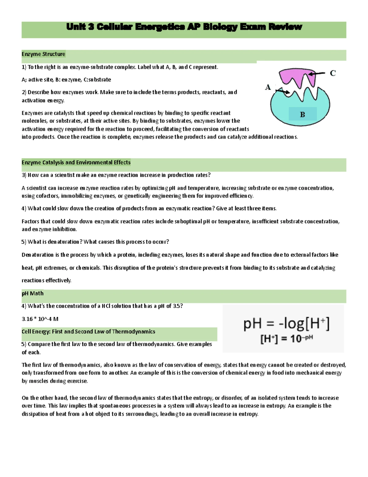 AP Biology Unit 3: Photosynthesis & Cellular Respiration Review Guide ...