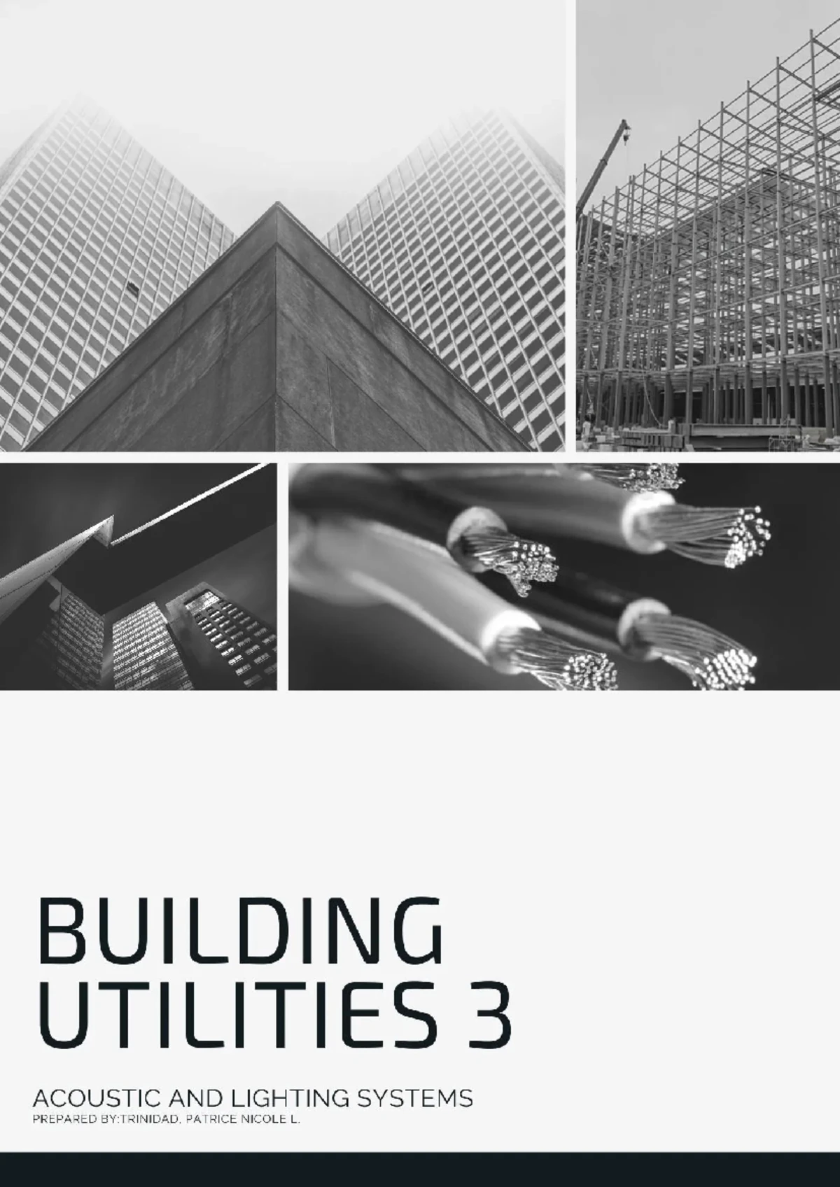 BUILDING UTILITIES 3 PROBLEMS AND SOLUTIONS - TRINIDAD, PATRICE NICOLE ...