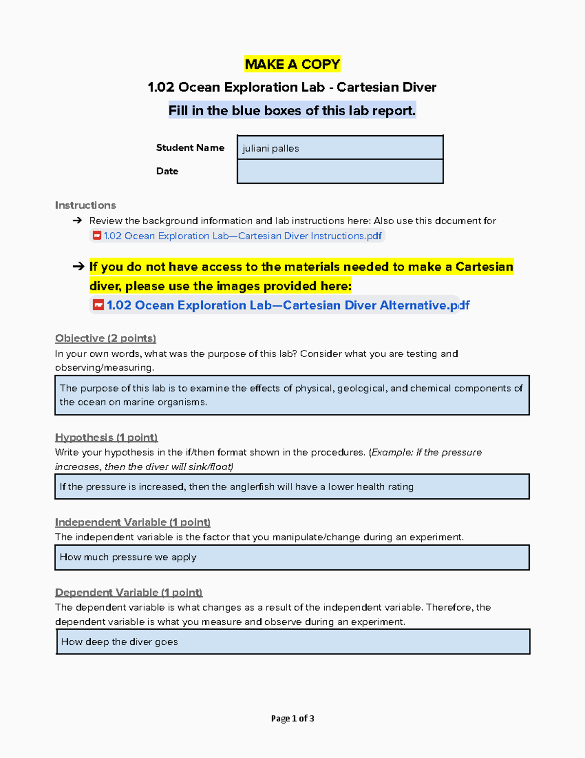1.02 Ocean Exploration Lab Report: Cartesian Diver Experiment Guide ...