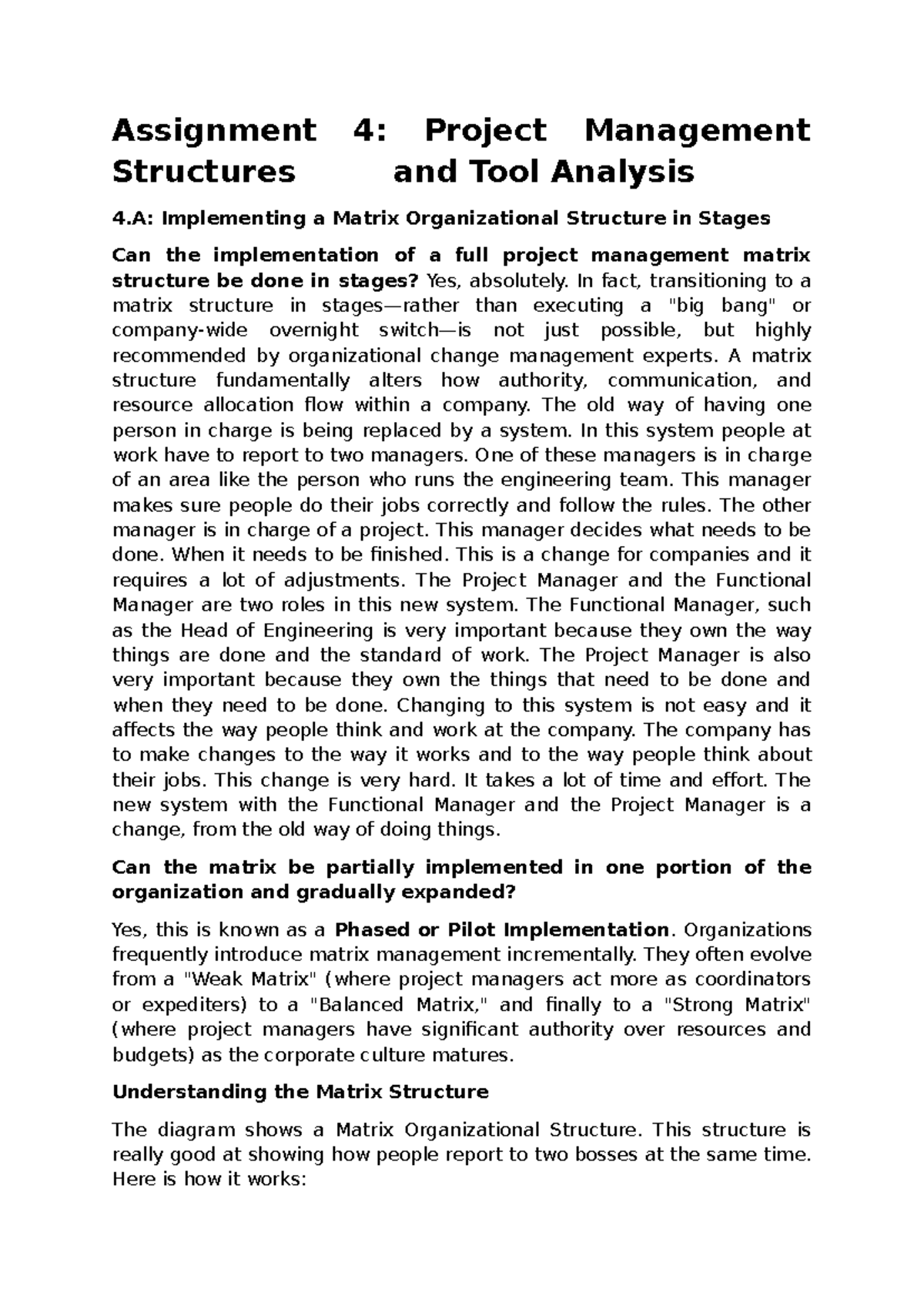 Assignment 4: Project Management Matrix Structure Implementation Notes ...