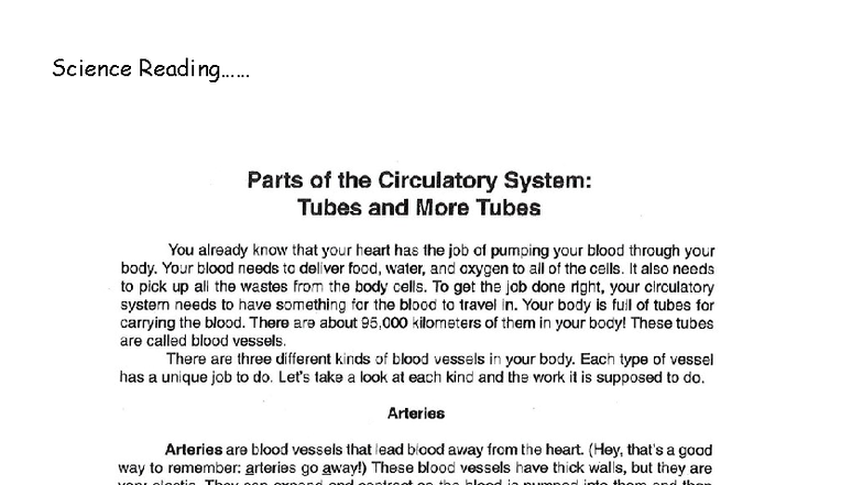 10-23-25-Circulatory System Tubes and More Tubes Spanish - Science ...