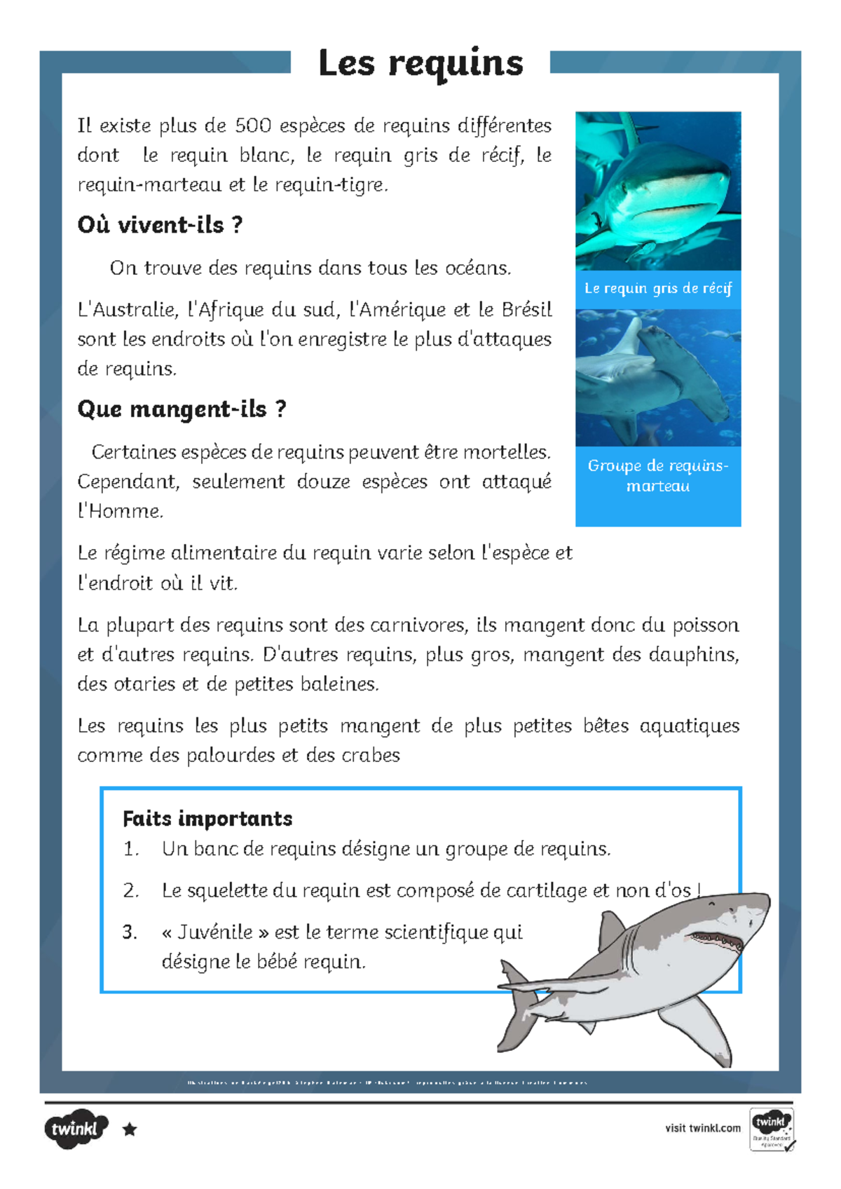 Compréhension Écrite Différenciée : Les Requins (Fr-t-l-51771) - Studocu