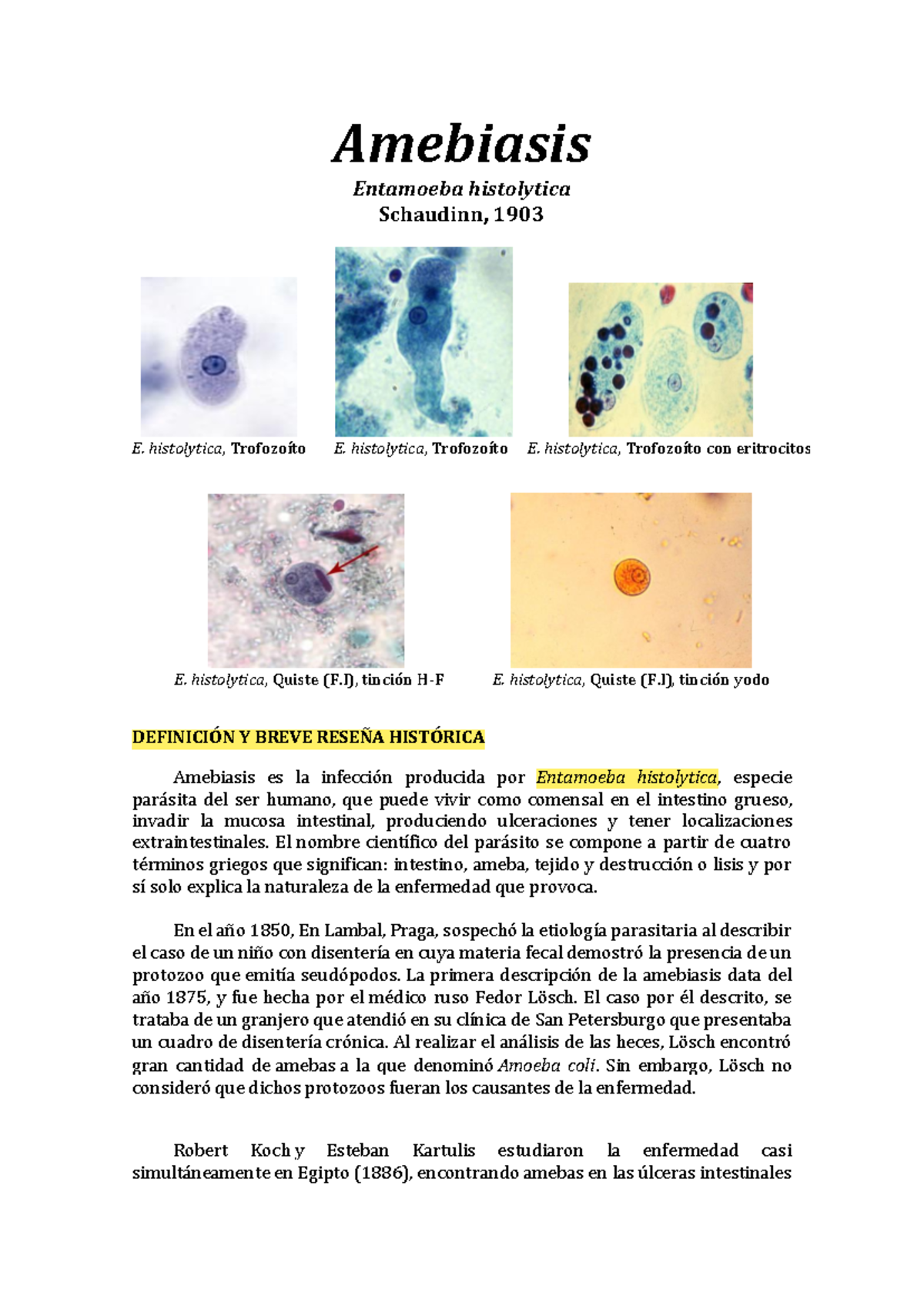 Amebiasis: Historia, Morfología y Diagnóstico del E. histolytica - Studocu