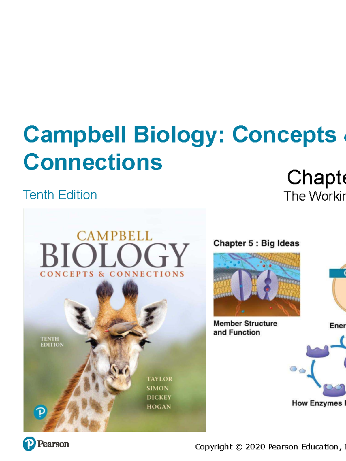 Campbell Biology: Concepts Connections Tenth Ed. Ch. 5 Membrane ...