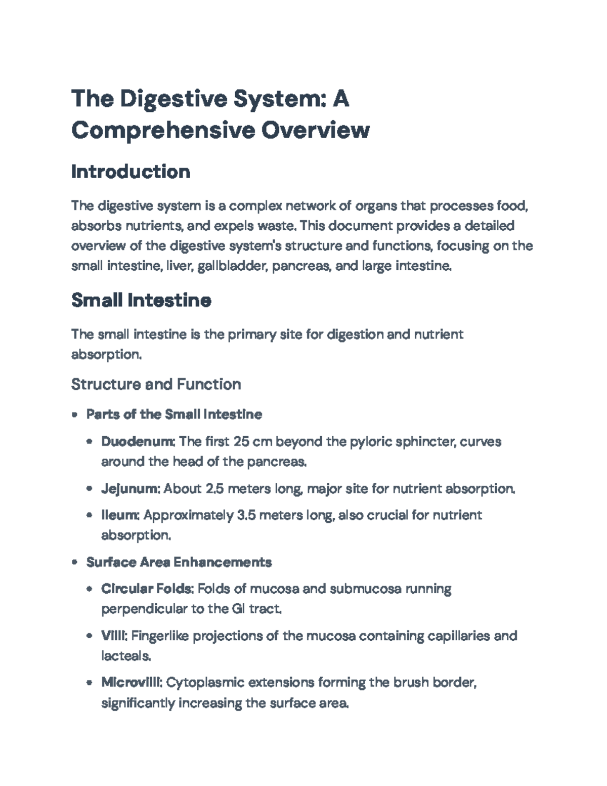 Digestive System Overview: Structure, Functions, and Processes - The ...