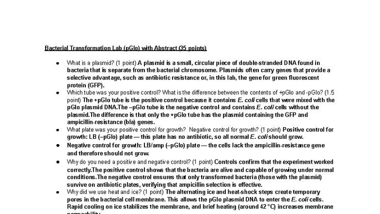 Bacterial Transformation Lab (pGlo) - Experiment Overview & Results ...