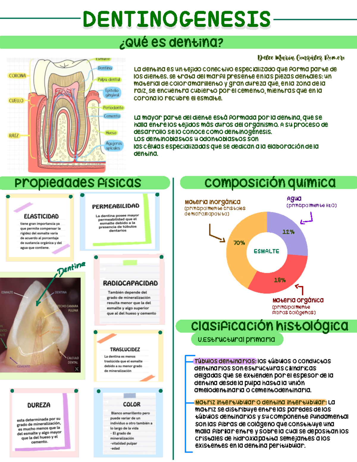 Seminario DE Histo Dentinogenesis: Proceso y Estructura de la Dentina ...