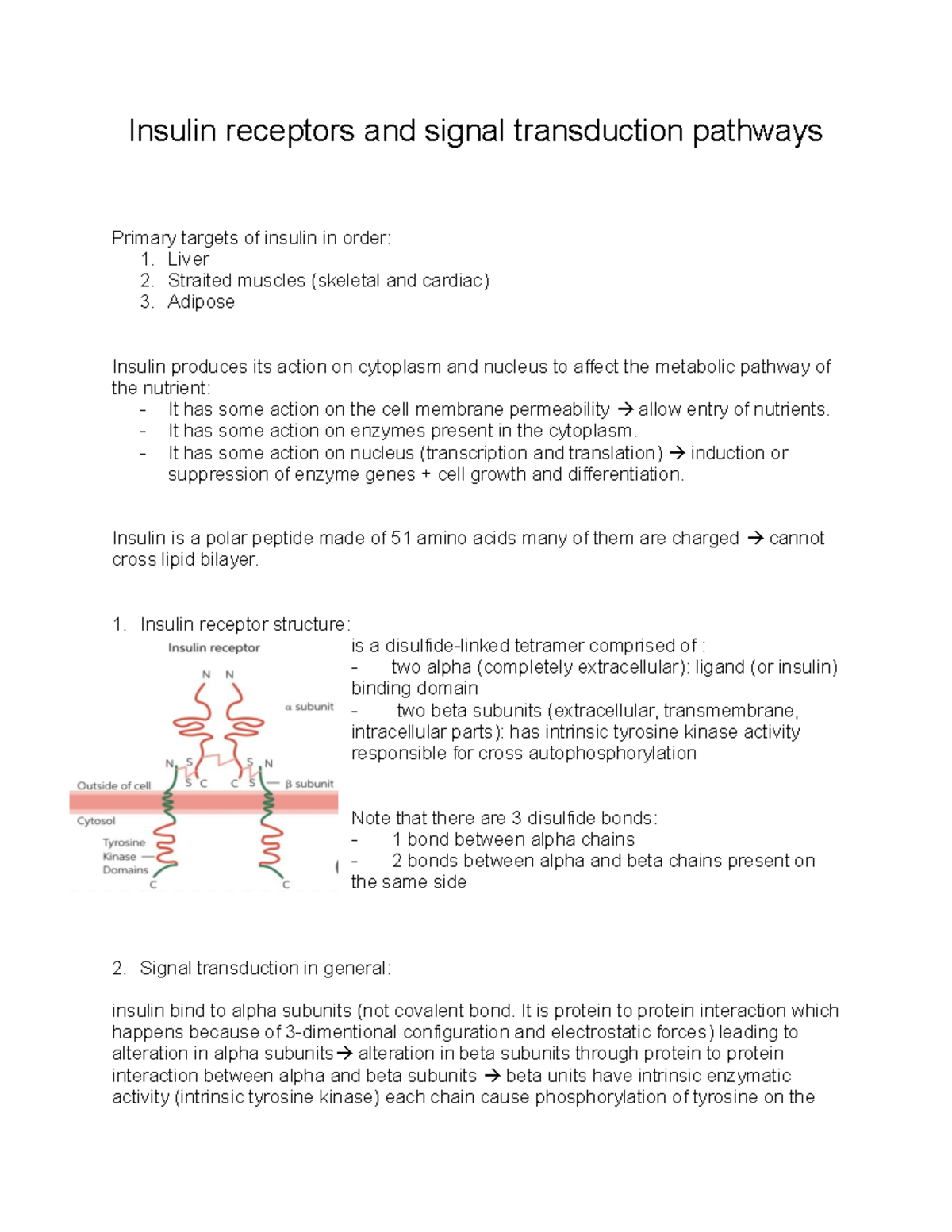 Insulin Receptors & Signaling Pathways: A Comprehensive Overview - Studocu