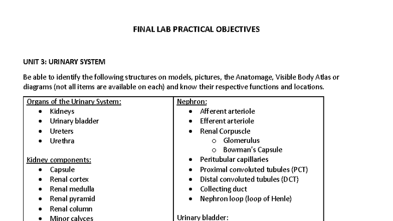FINAL LAB PRACTICAL OBJECTIVES UNIT 3 & 4: URINARY & REPRODUCTIVE SYSTEMS - Studocu