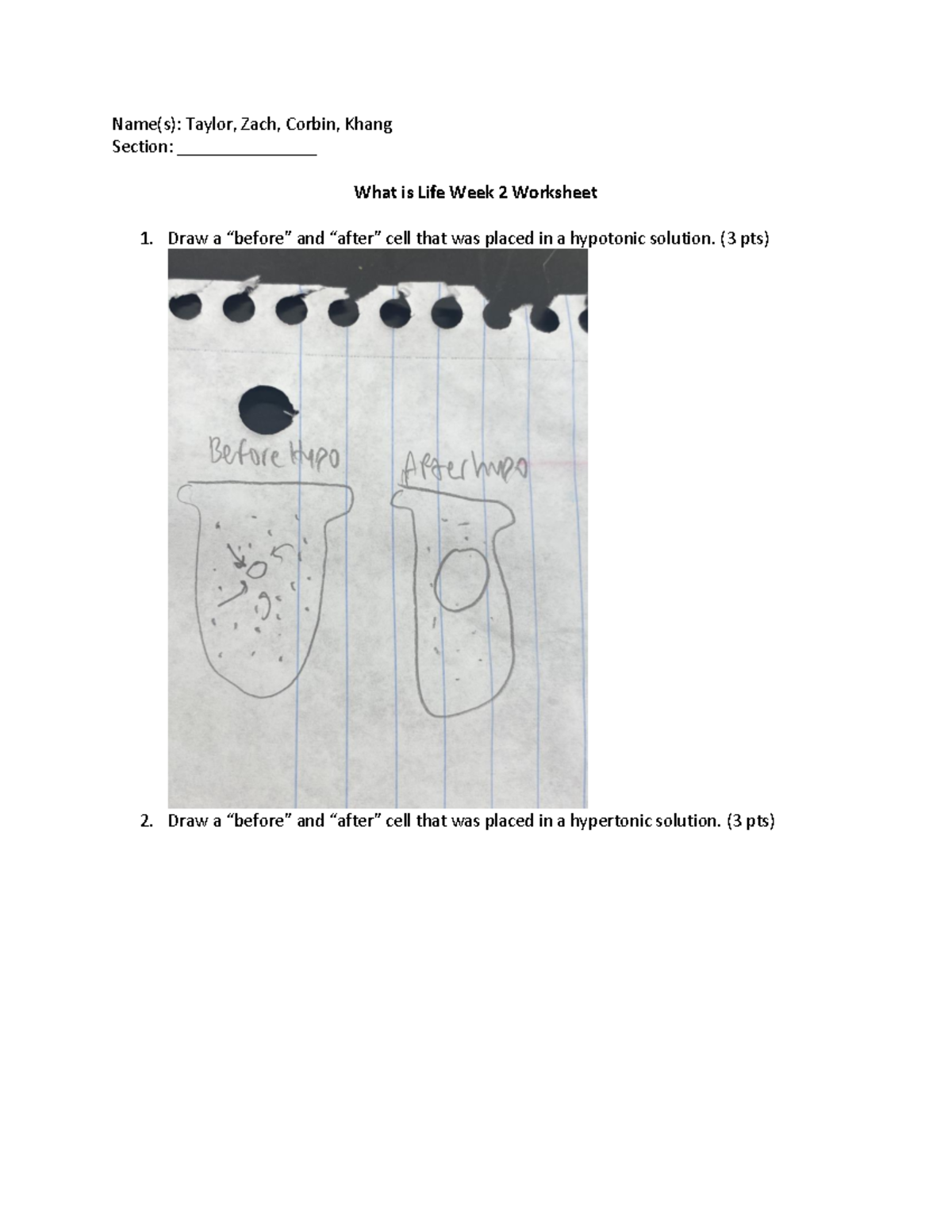 What is Life Week 2 Worksheet - FS21 - Name(s): Taylor, Zach, Corbin ...