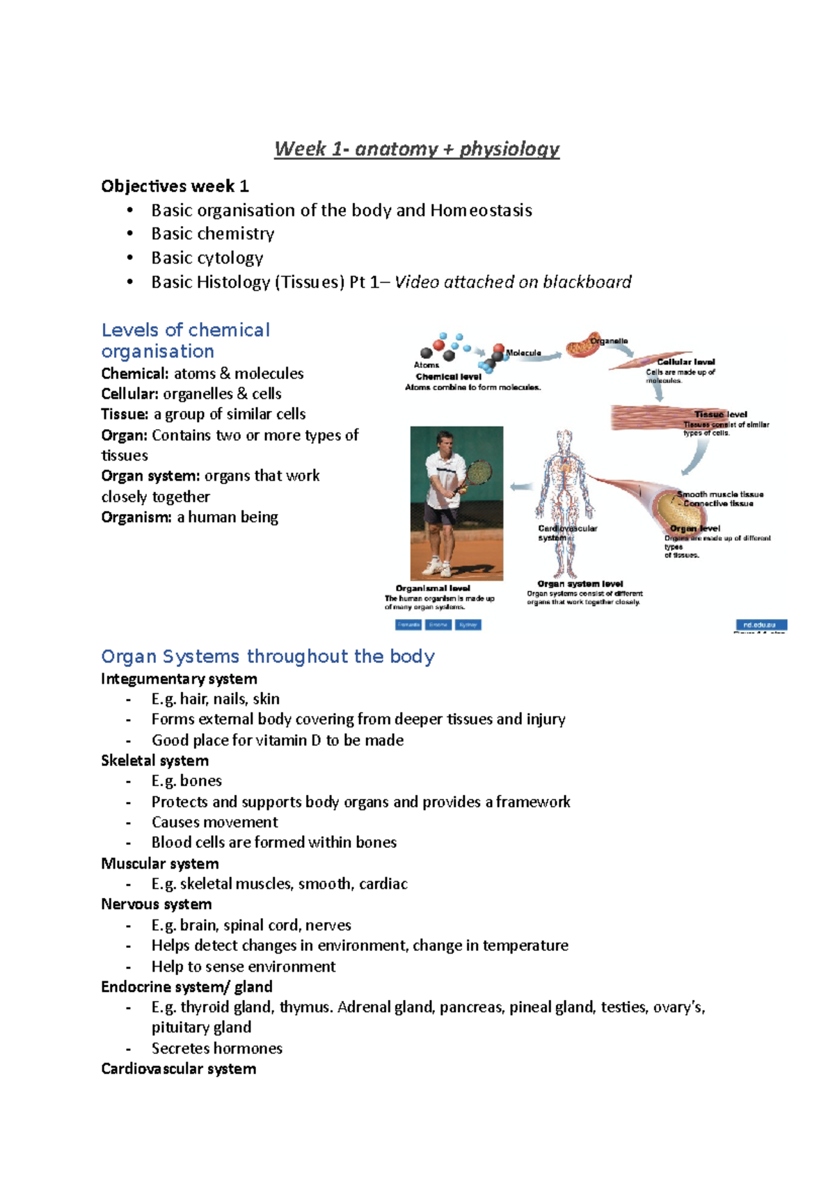 Week 1 anatomy + physiology - Week 1- anatomy + physiology Objectives ...