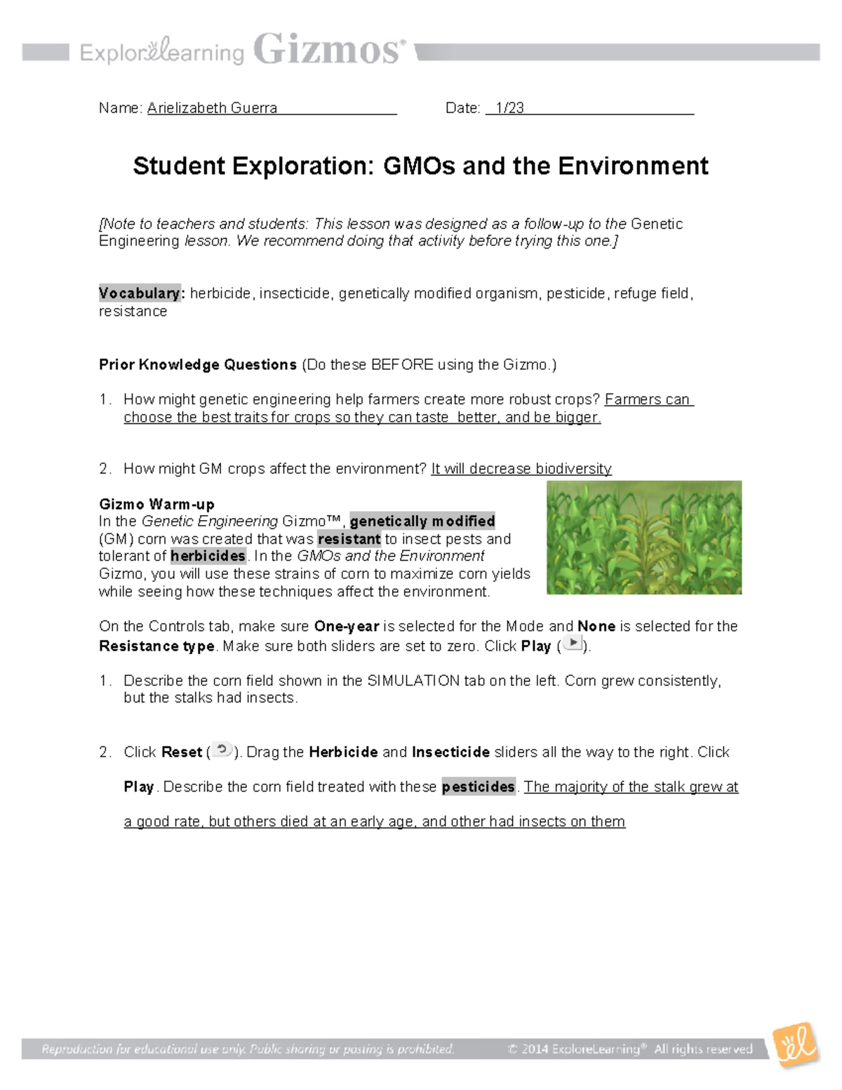 GMOs and the Environment: SE - Student Exploration Guide - Studocu