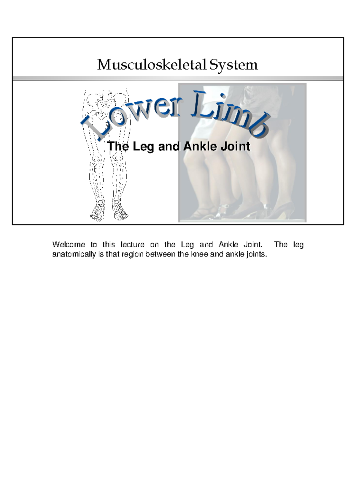 The Leg and Ankle Joints - The leg anatomically is that region between ...