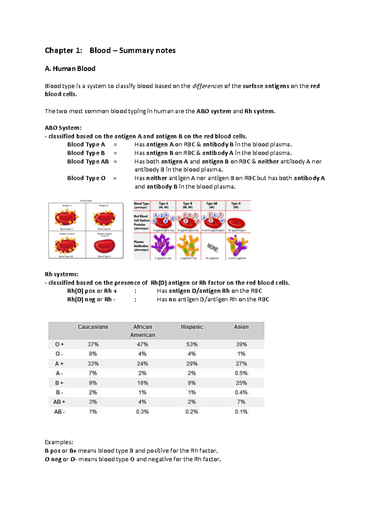 Chapter 1 - Blood: Summary Notes on Types, Transfusions & Rh Factor ...