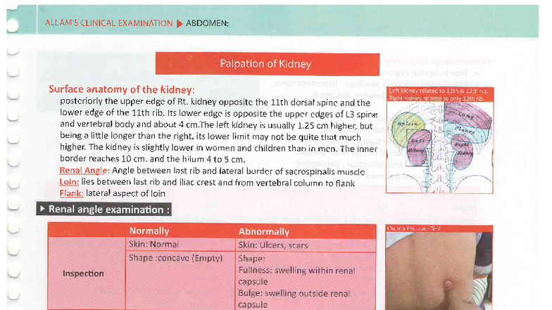 CLINICAL EXAMINATION ABDOMEN: Kidney Palpation Techniques and Findings ...